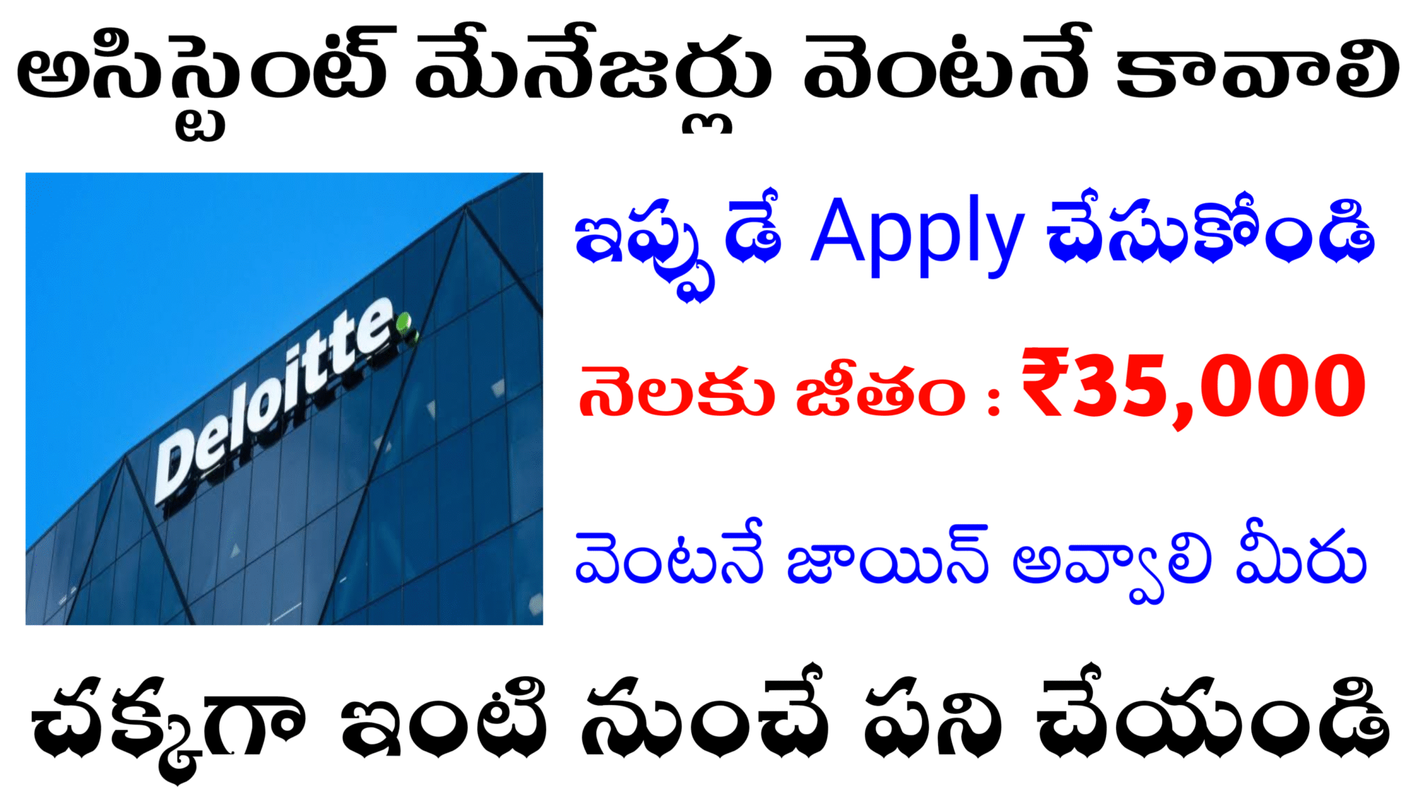 Excellent Assistant manager Jobs updates 2025